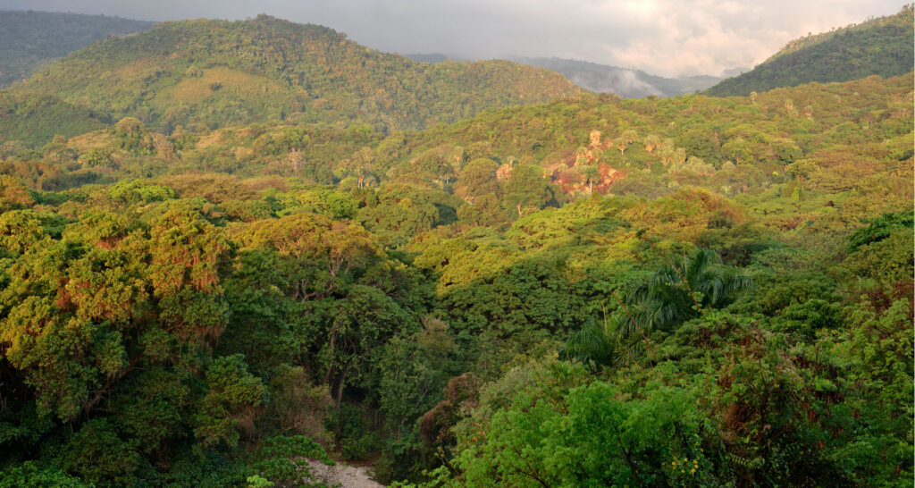 EcoTour Barahona | Ecotourism Dominican Republic